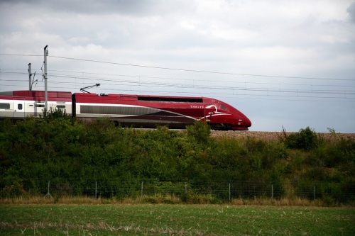 Avec le thalys à la grande rétrospective Robert Mapplethorpe au Grand ...